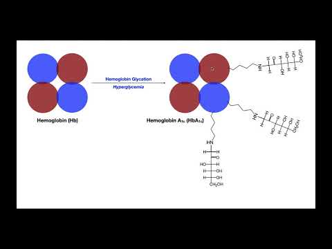 A1c EXPLAINED | What is it, and why should I care?