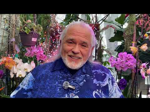 “Thursday and Saturday” – KTFA Frank26 Video Update 2-2-26 | Dinar ...