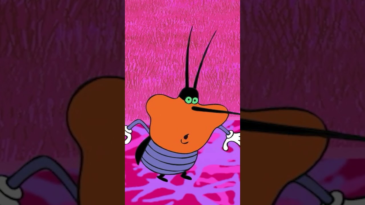 #Shorts 🔷 Oggy and the Cockroaches 😘 DEEDEE & MARKY 😘