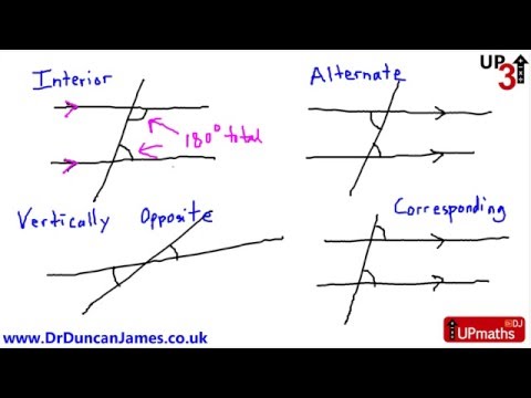Interior, Alternate, Vertically Opposite and Corresponding Angle Definitions