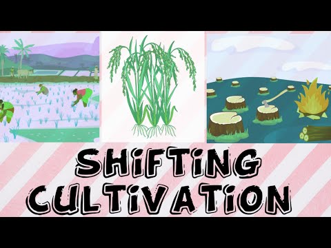 SHIFTING CULTIVATION | EXPLANATION | ENGLISH |