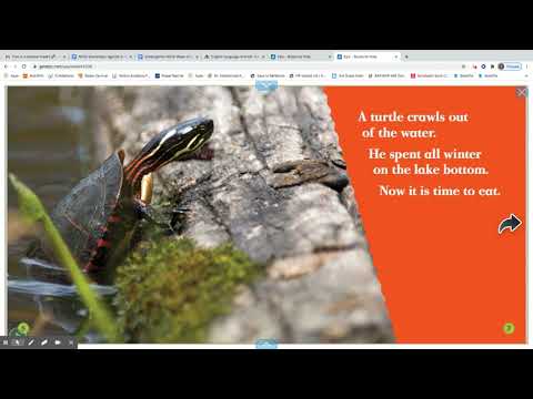Baby Animals in Spring Read Aloud