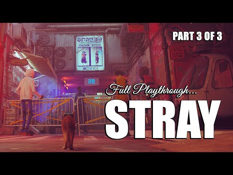 Steam Community :: Video :: Full Game Playthrough: Stray - Part 3 of 3 (VampireKitten Stream ...
