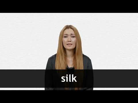 SILK definition and meaning | Collins English Dictionary