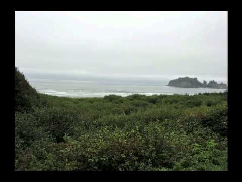 Tour the Twilight Saga's La Push First Beach Preview