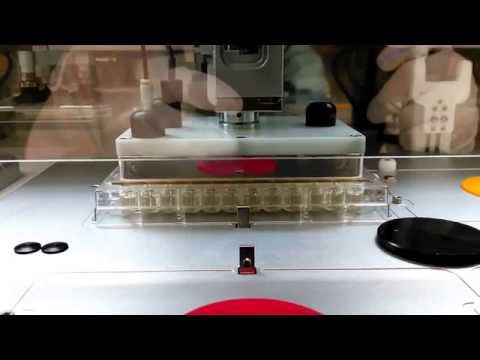 Experimental evolution with the Singer ROTOR HDA | Danna Gifford