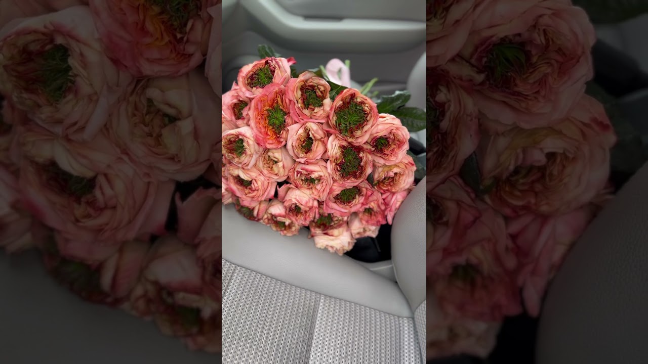 Ecuadorian Rose “Melon Expression”#EcuadorianRose#MelonExpression#LuxuryFlowers#FloralDesign