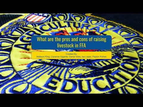 Is FFA a quality program... or does it fall short of its purpose? Let's explore!
