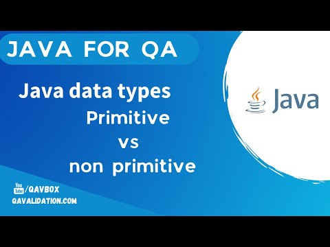 Java DataTypes - primitive and non primitive