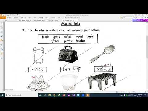 Grade 5 worksheet for science Quiz