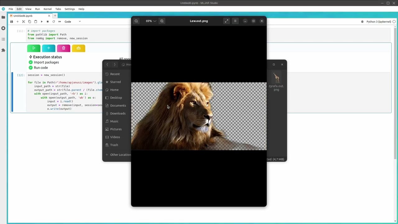 Remove background from multiple images in directory with Python