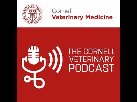 Artificial Intelligence in Veterinary Medicine: A Brave New World
