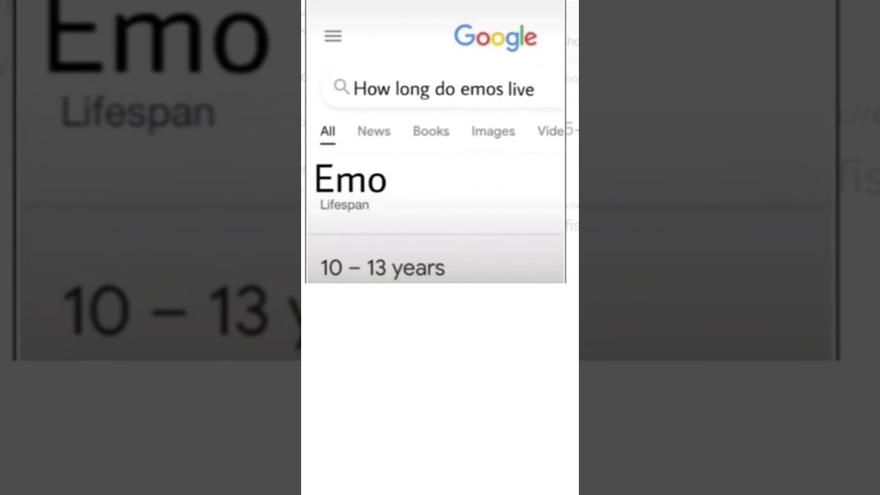 How long do emos live?|#funny #emo |@owlee|