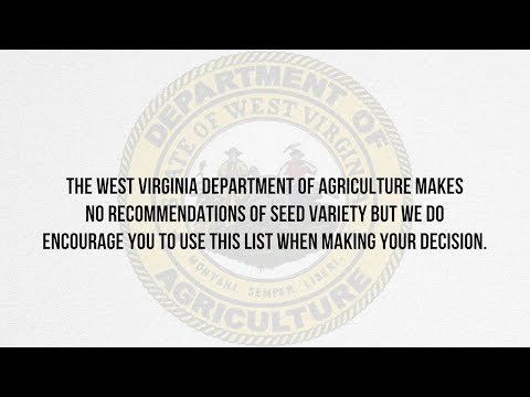 WVDA Hemp Program Summary of Hemp Varieties Explained.