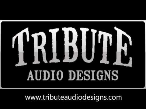 Tribute Audio Designs Big Fatty – 3 Transistor Fuzz | Reverb