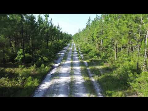 Florida hunting lease now available on HLRBO