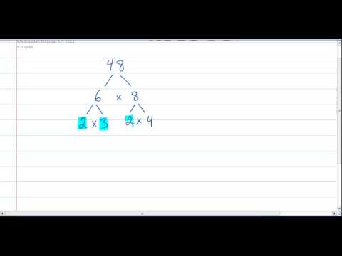 Creating Factor Trees and Products of Prime