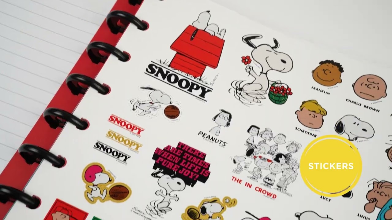 Mooving Loop Carta Snoopy