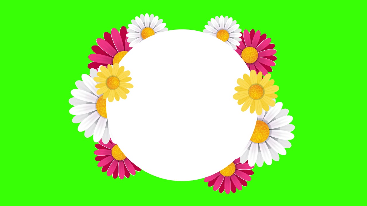 Green Screen Frame Effects | Flowers Frame rotating with text area animation | green screen effect