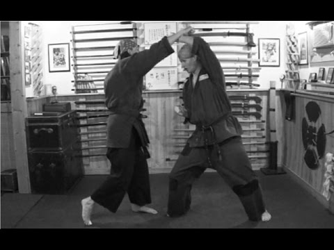 Koka Ryu Kempo | Point of Origin | Anshu Christa Jacobson