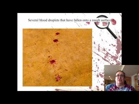Blood Stain Pattern Analysis