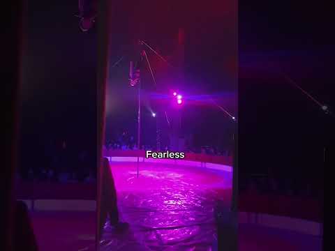 Hardworking circus performers shine! #perfomance #circuslife