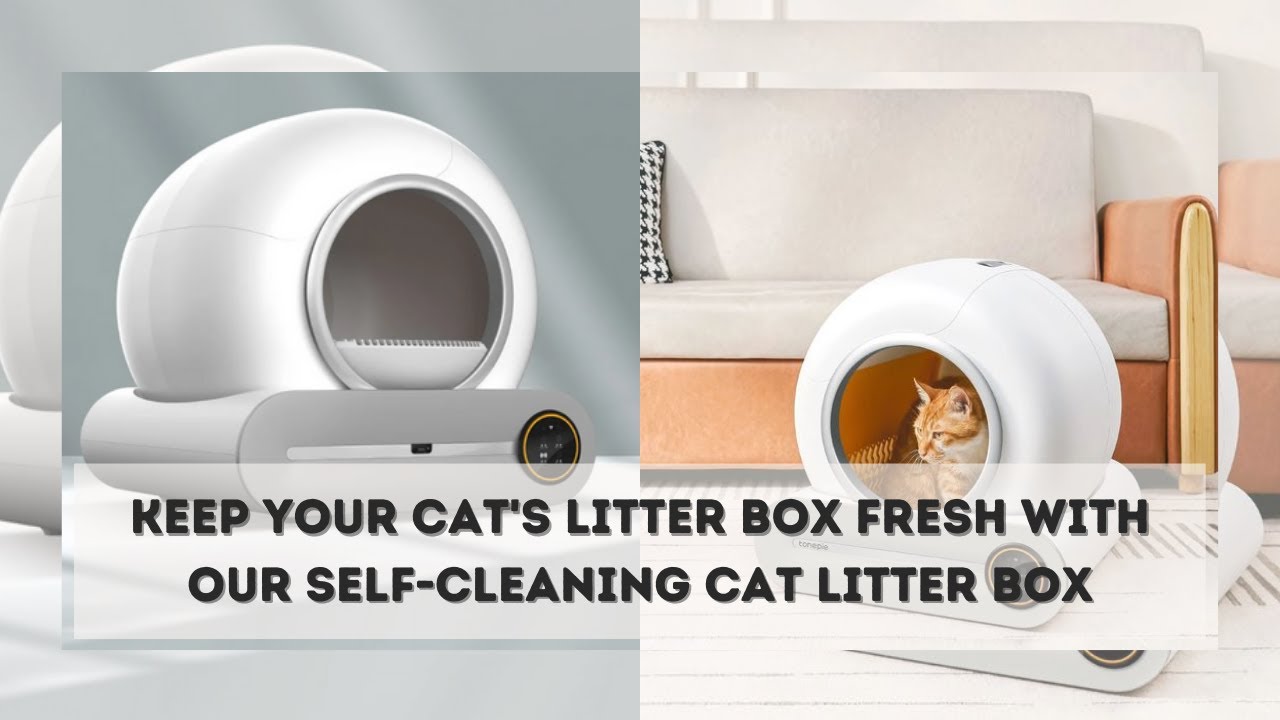 Self Cleaning Cat Litter Box - Automatic Smart Cat Litter Box Self Cleaning