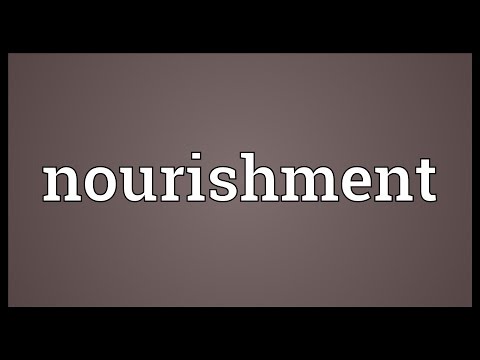 Nourishment Meaning