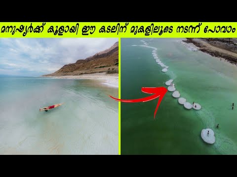 ചാവുകടൽ:നമ്മളറിയാത്ത യാഥാർത്ഥ്യങ്ങൾ| IS THE DEAD SEA REALLY DEA?