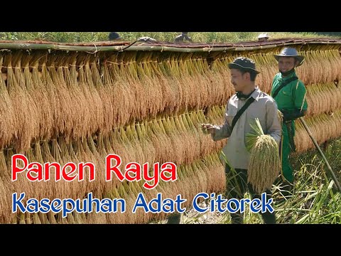 Desa Wisata Citorek Sabrang