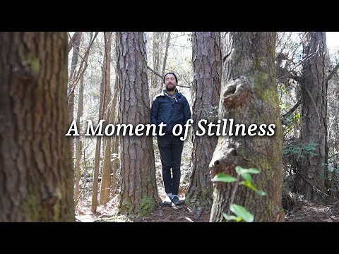 Films | Sacred Visions Studio