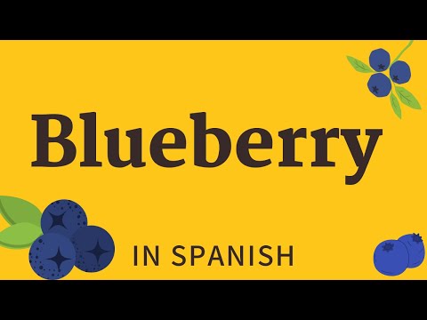 Daily Spanish WORD| How do you say (“Blueberry”) in Spanish 🫐