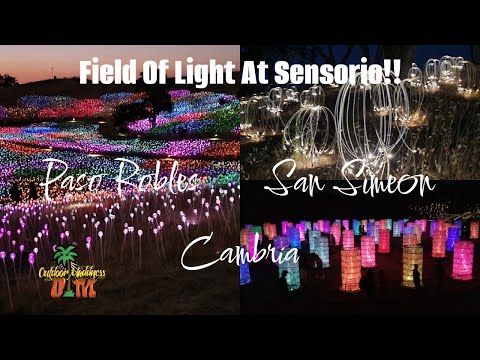 Field Of Light At Sensorio #pasorobles