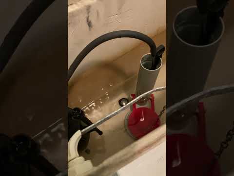 Replace 2 inch flush valve kit and doing a flush test checking for leaks on property