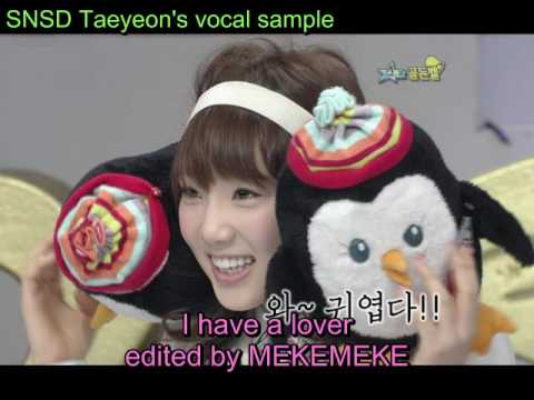 Not Your Ordinary Leader | SNSD Korean