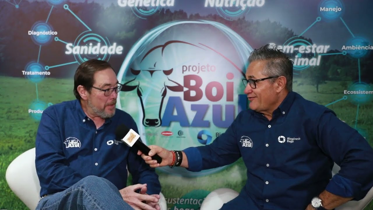 O Boi Brasil não é vermelho. O BOI BRASIL É AZUL – Grupo Publique