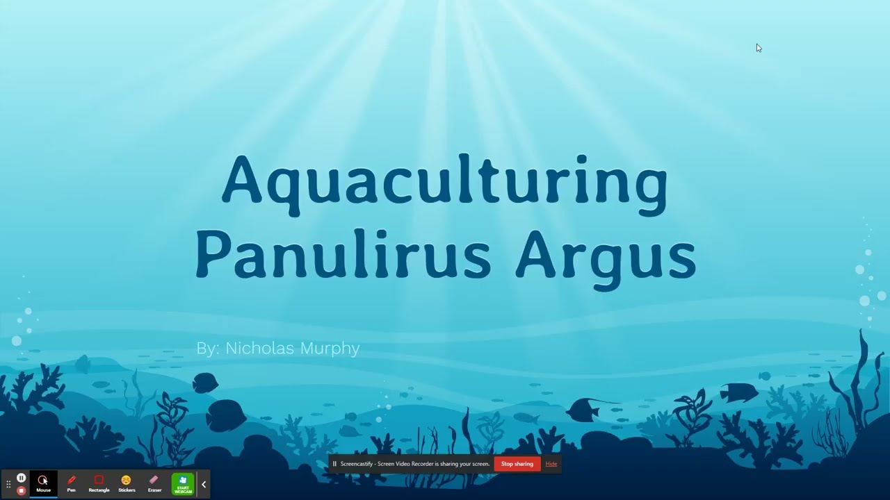 Aquaculture of Panulirus Argus