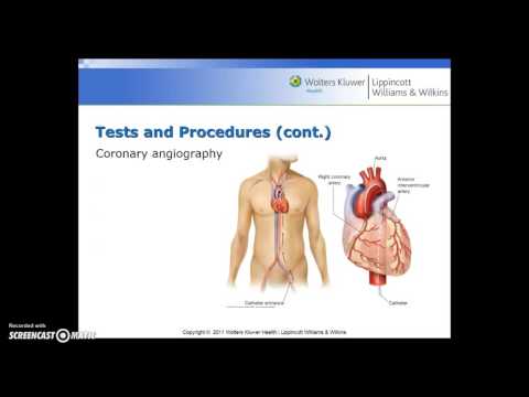 Medical Terminology - Chapter 7, Live Lecture - Part 2