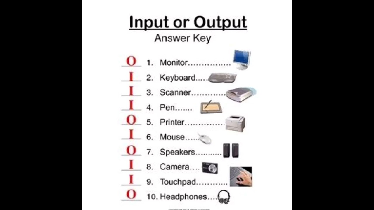 Input And Output \\ Computer Input And Output Answer key