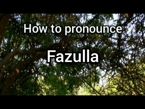 How to Pronounce Fazulla