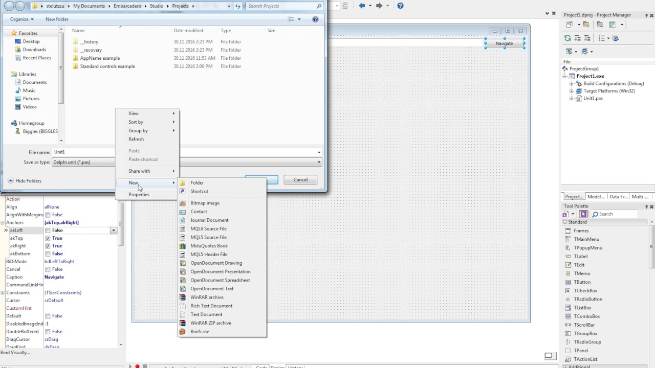 Delphi web browser TwebBrowser