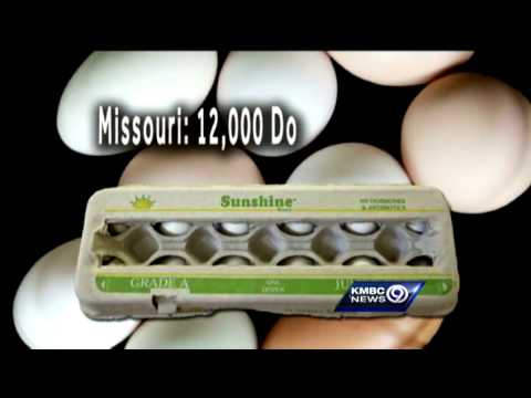 Missouri lawmakers scramble the definition of eggs