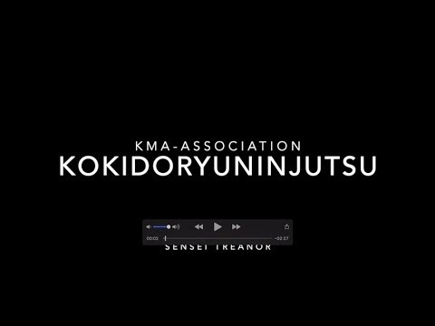 KokidoRyuNinjutsu Showcase - Sensei Treanor