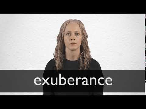 EXUBERANCE definition and meaning | Collins English Dictionary