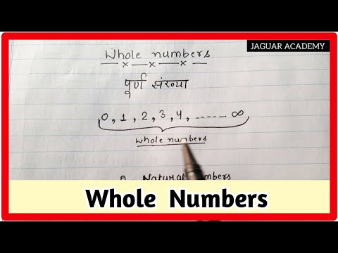 what are whole numbers | whole number kya hote hai | पूर्ण संख्या | whole number | basic maths