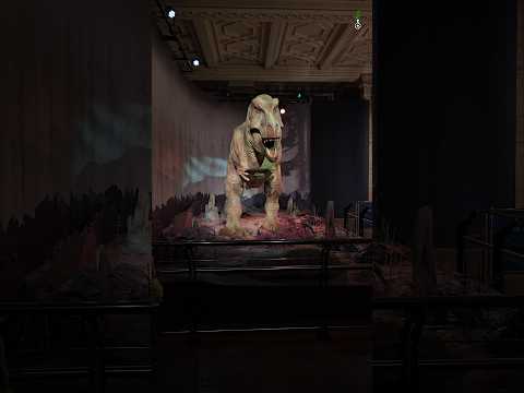 Jurassic Era tour in Natural History Museum London #london #dinosaur #jurassicworld #fossil