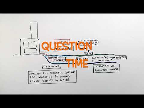 Pollution Indicators: Lichens & Invertebrates | GCSE Biology (9-1) | kayscience.com