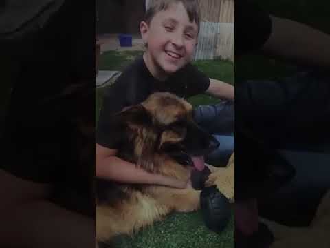 Old pictures of samara (memories pictures part 17)