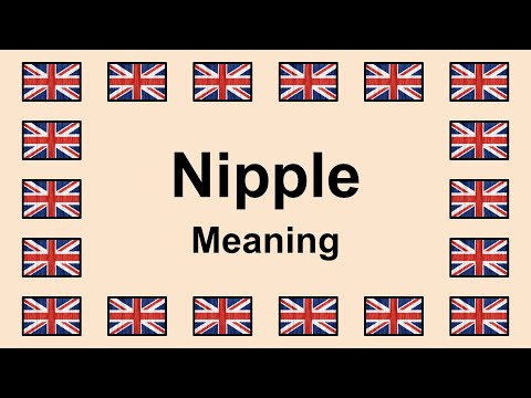Meaning of NIPPLE in English 🇬🇧