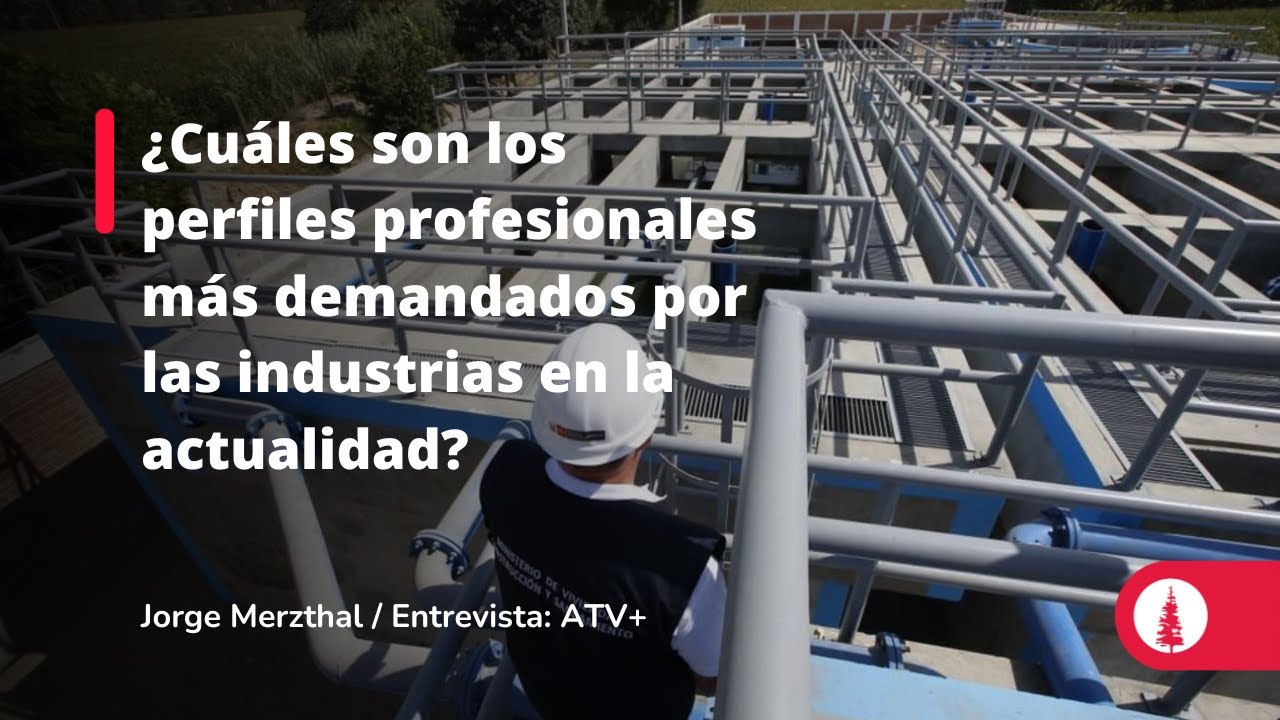 ¿Cuáles son los perfiles profesionales más demandados por las industrias en la actualidad?